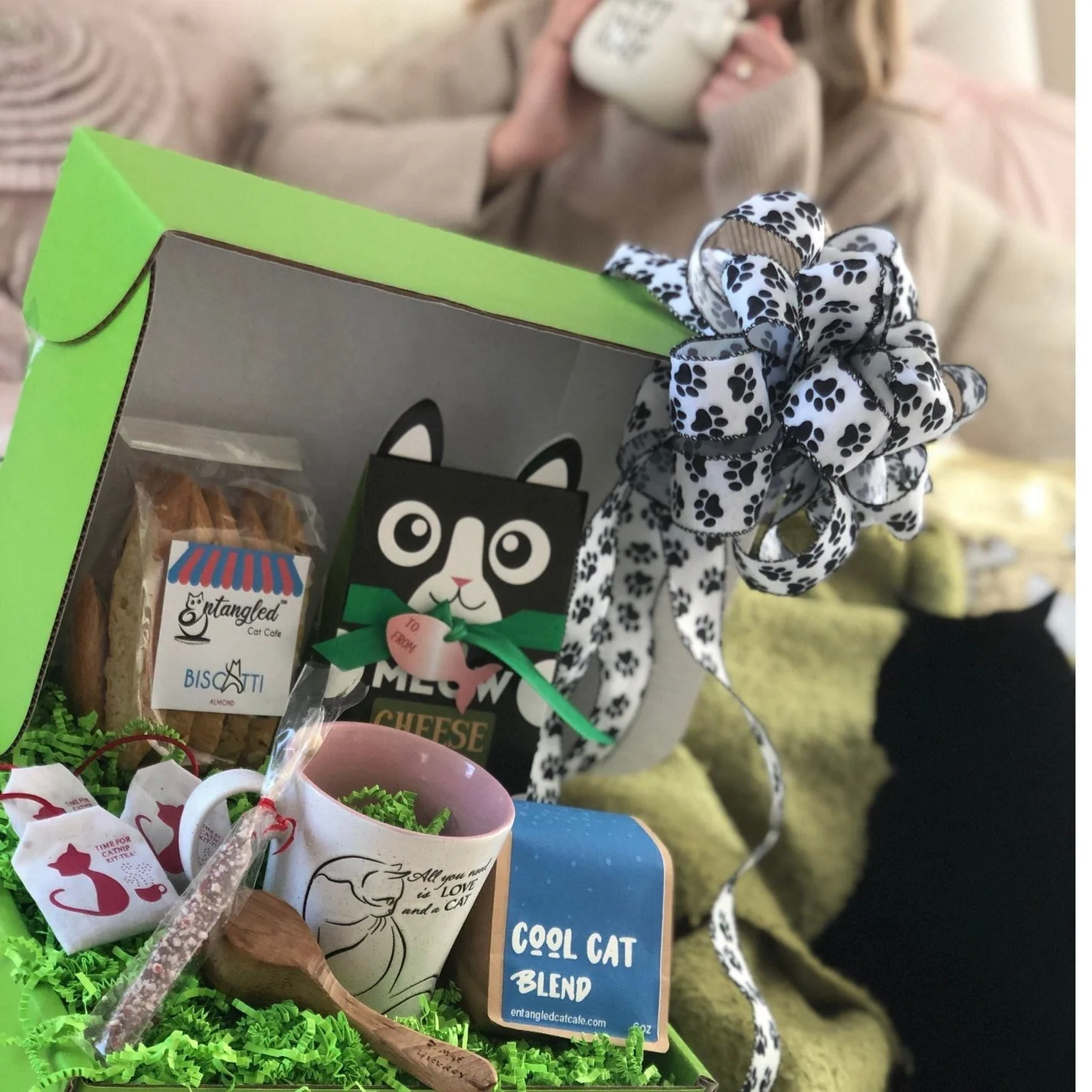 Entangled Cat Cafe | For Sophisticated Cat Lovers