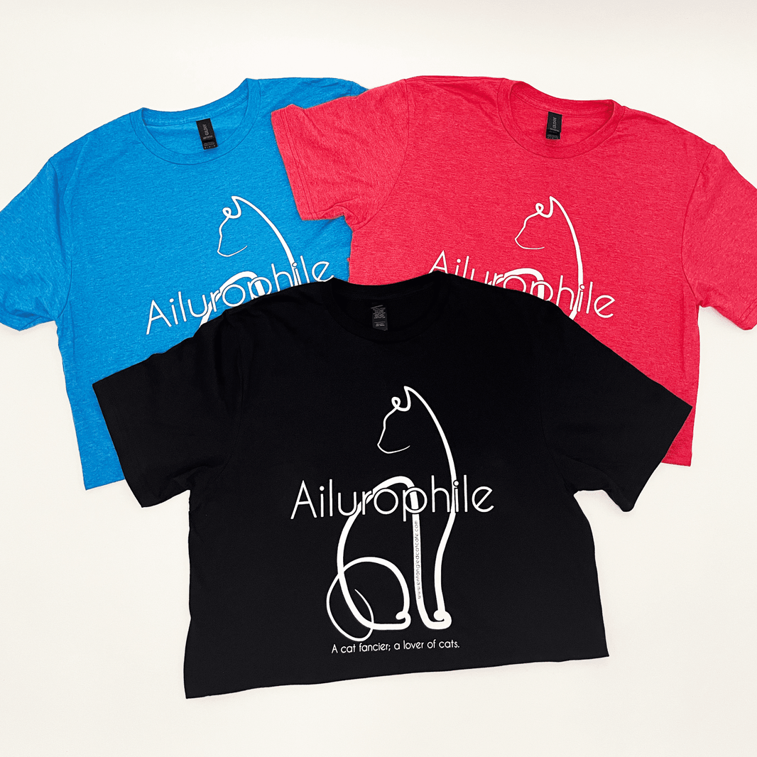 Entangled Cat Cafe | For Sophisticated Cat Lovers