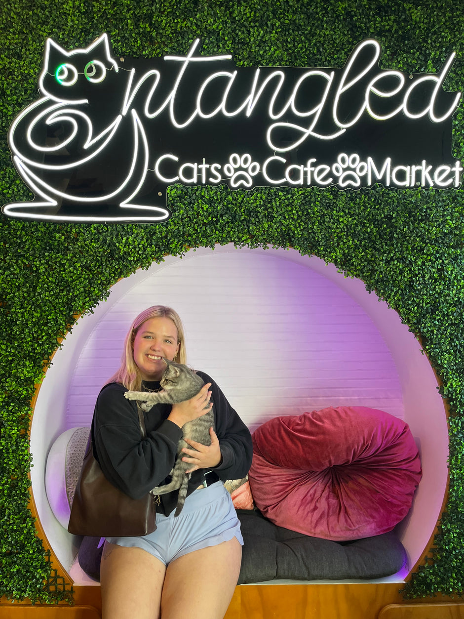Adopted Cats – Entangled Cat Cafe