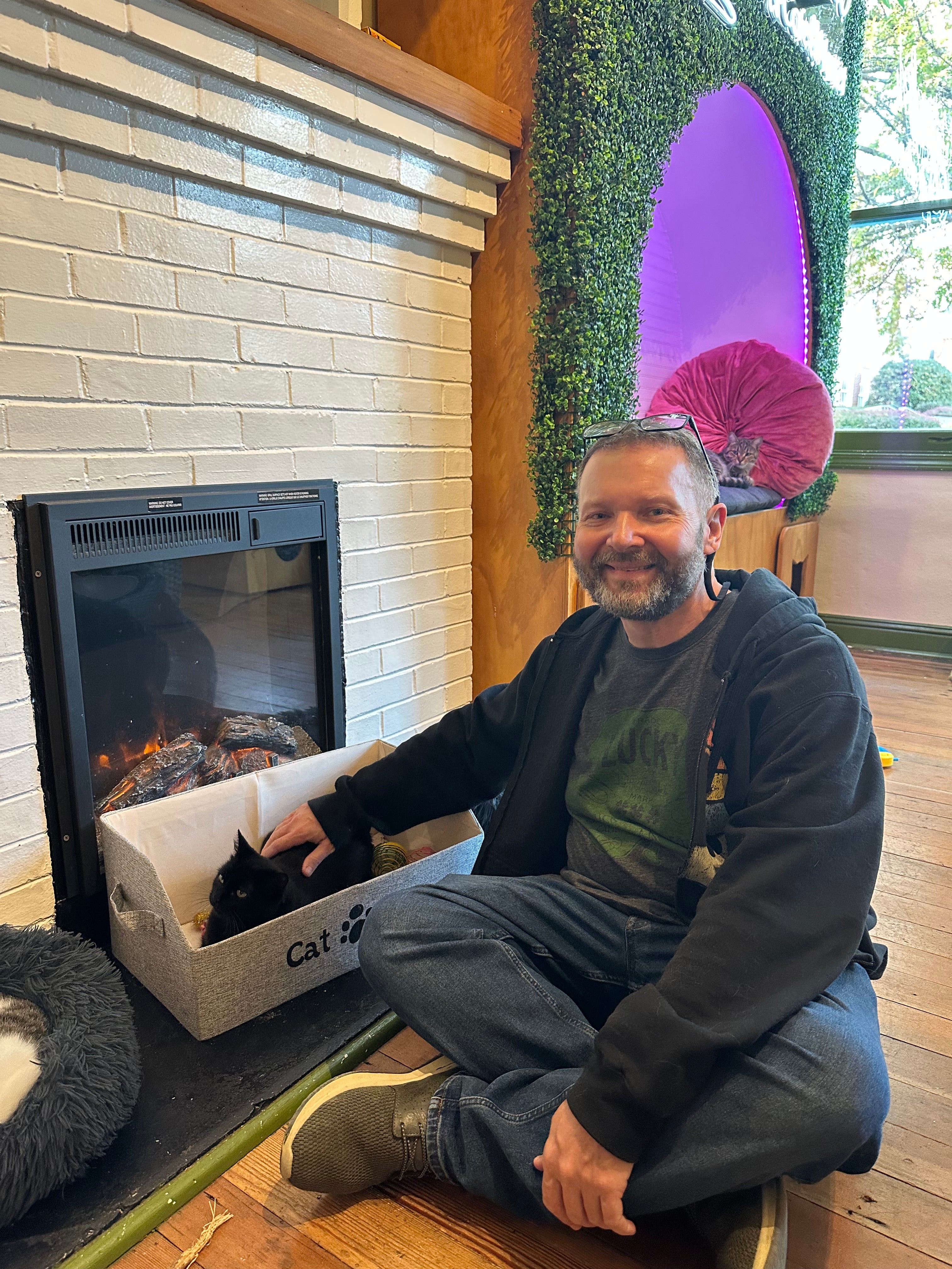 Astrid – Entangled Cat Cafe