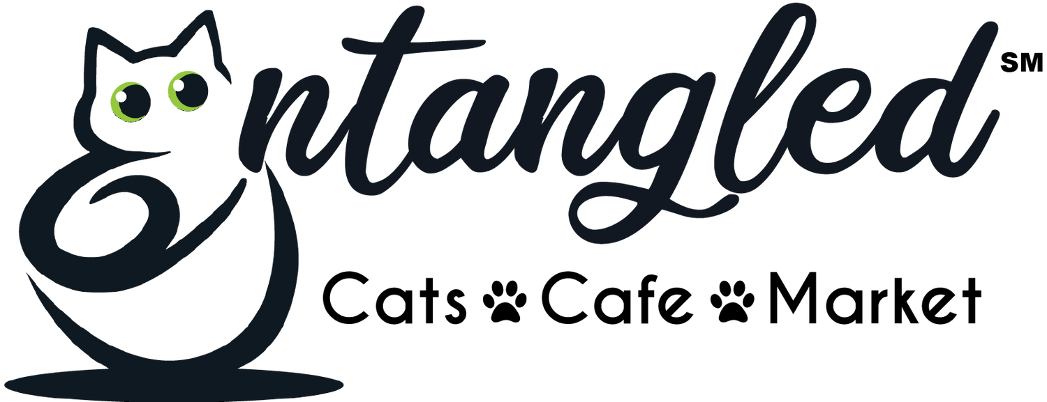 Press Kit – Entangled Cat Cafe