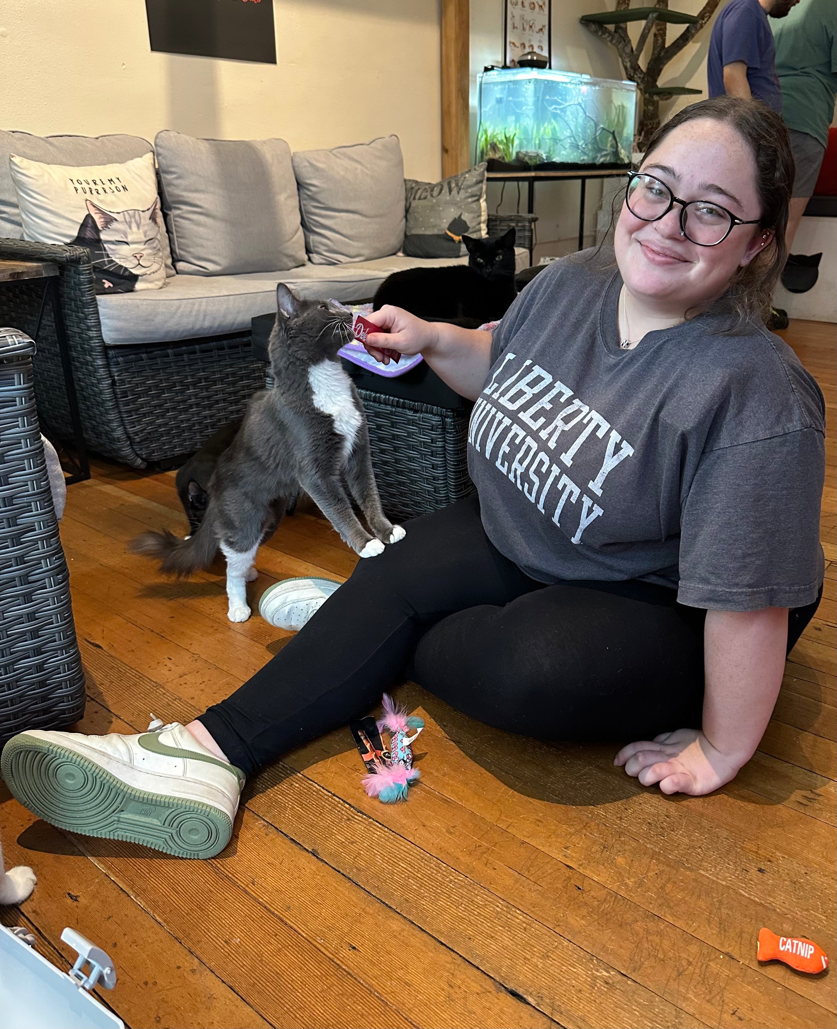 Ellie – Entangled Cat Cafe