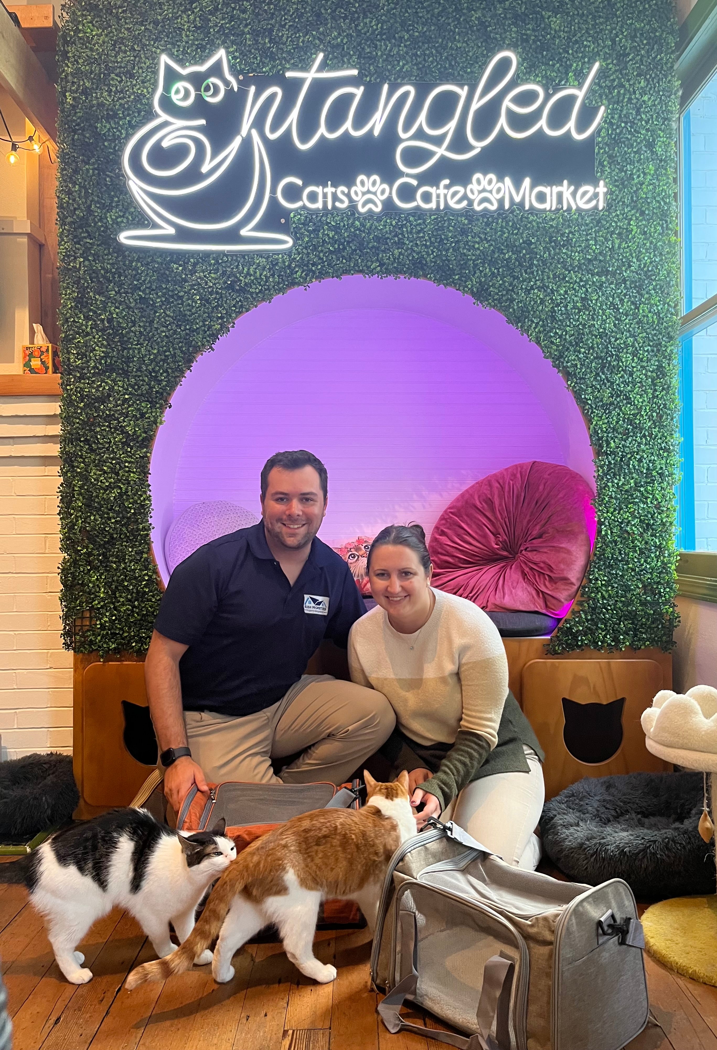 Ewi – Entangled Cat Cafe