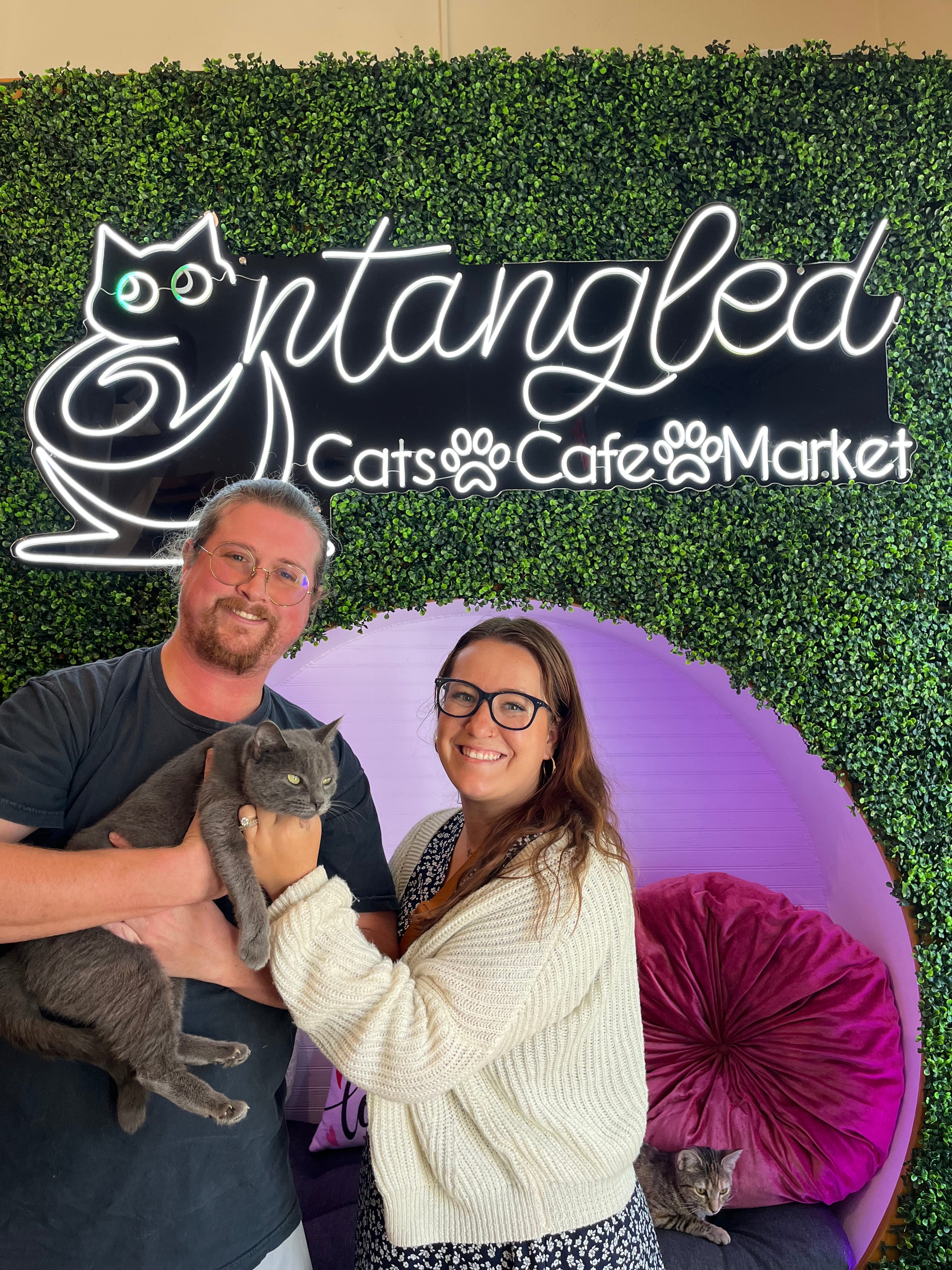 Gray – Entangled Cat Cafe