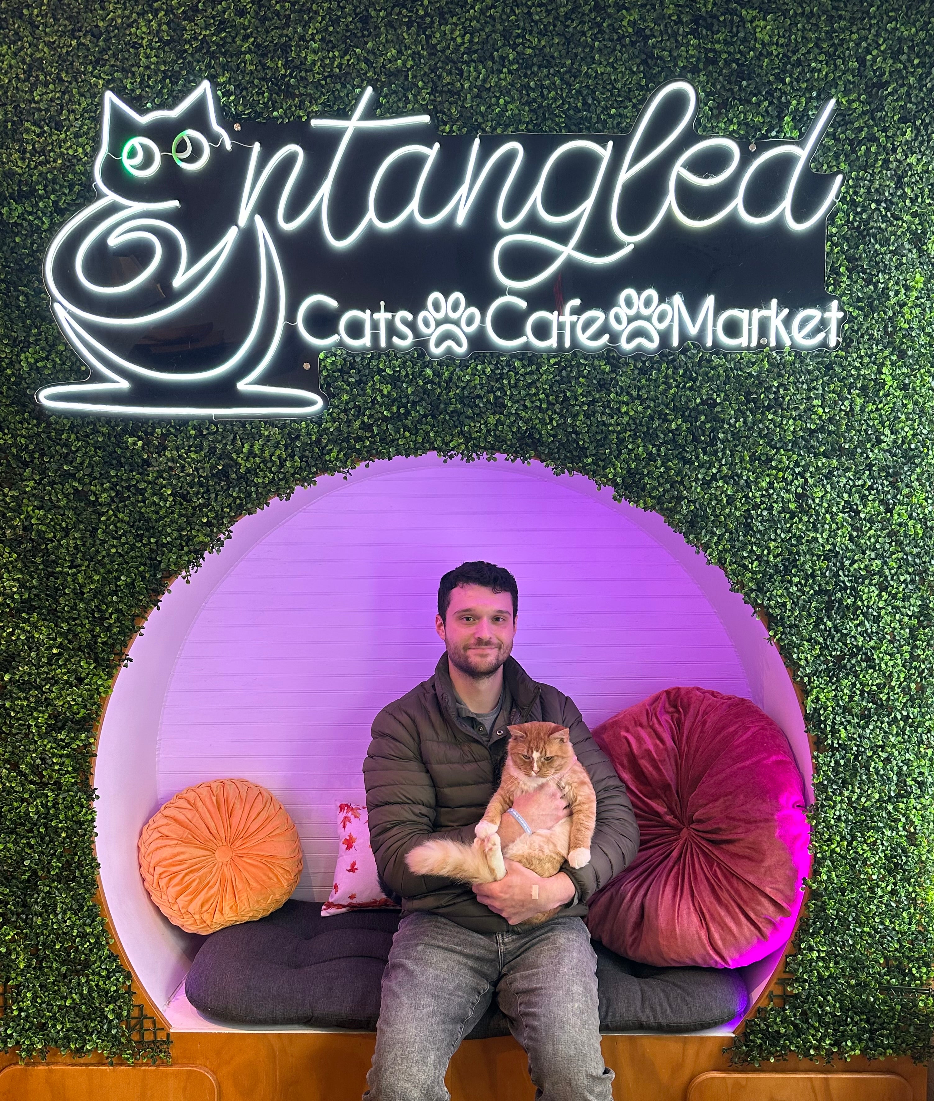 Keebler – Entangled Cat Cafe