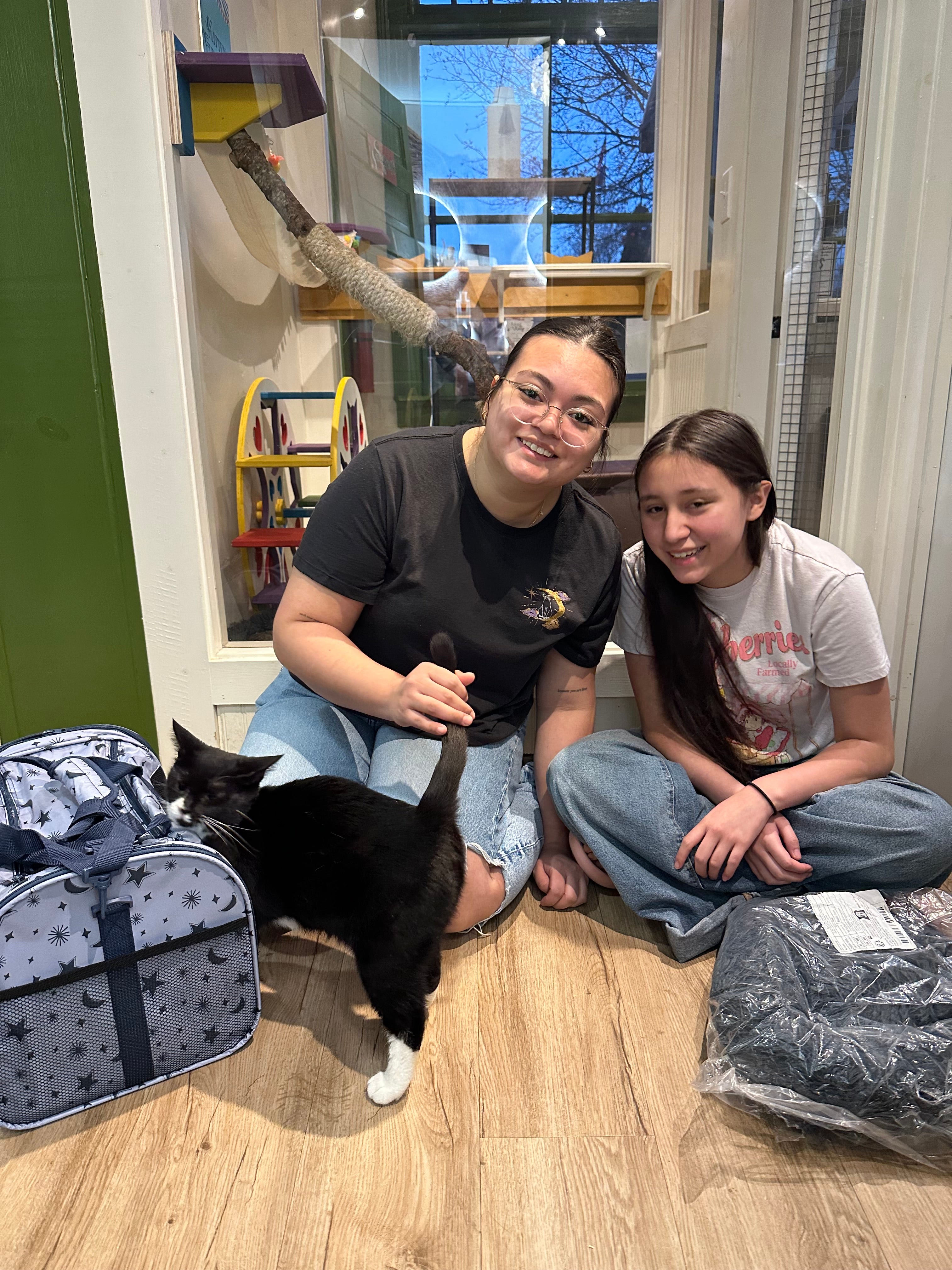 Mrs. Adeline – Entangled Cat Cafe