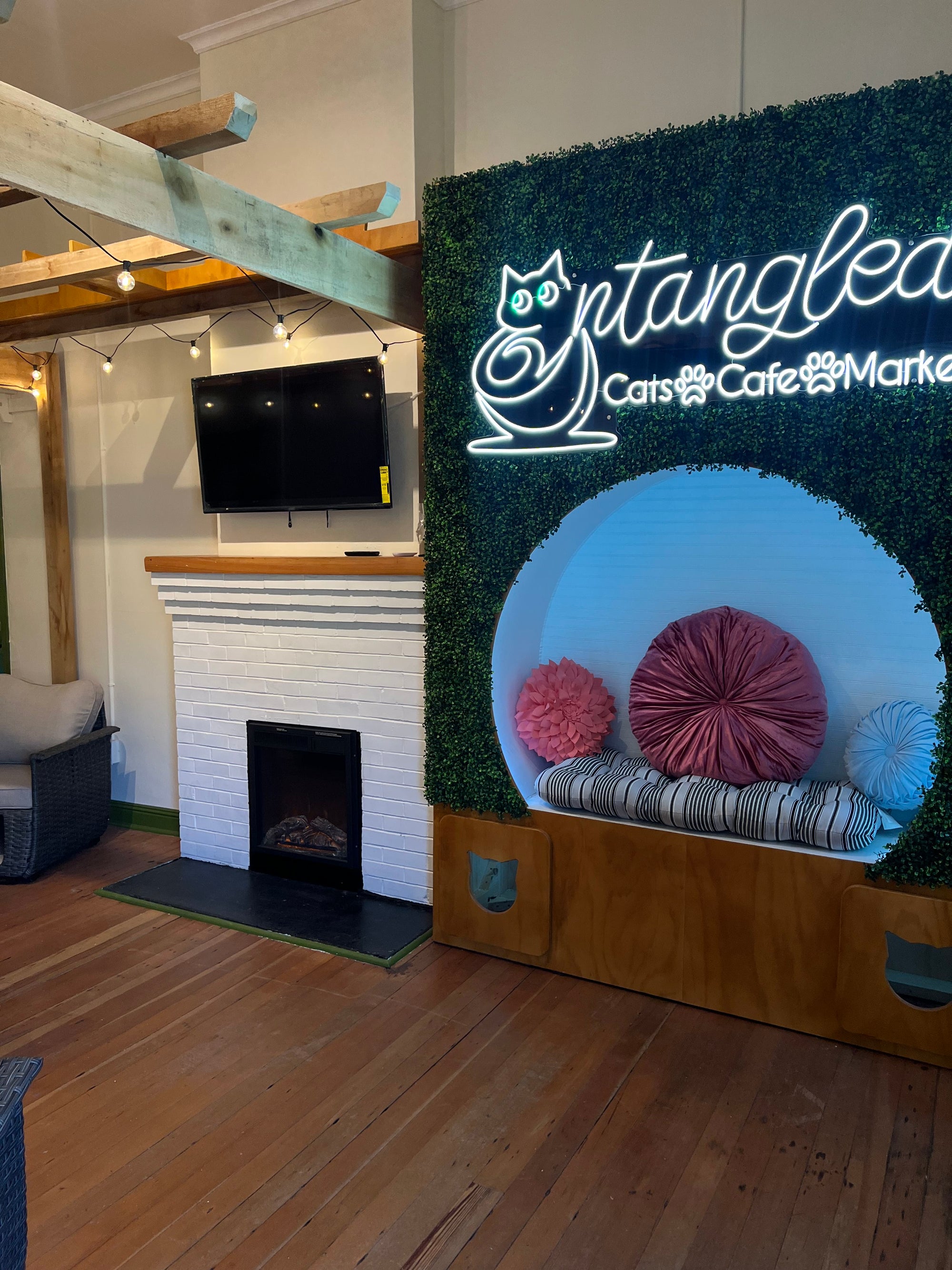 Entangled Cat Cafe | For Sophisticated Cat Lovers