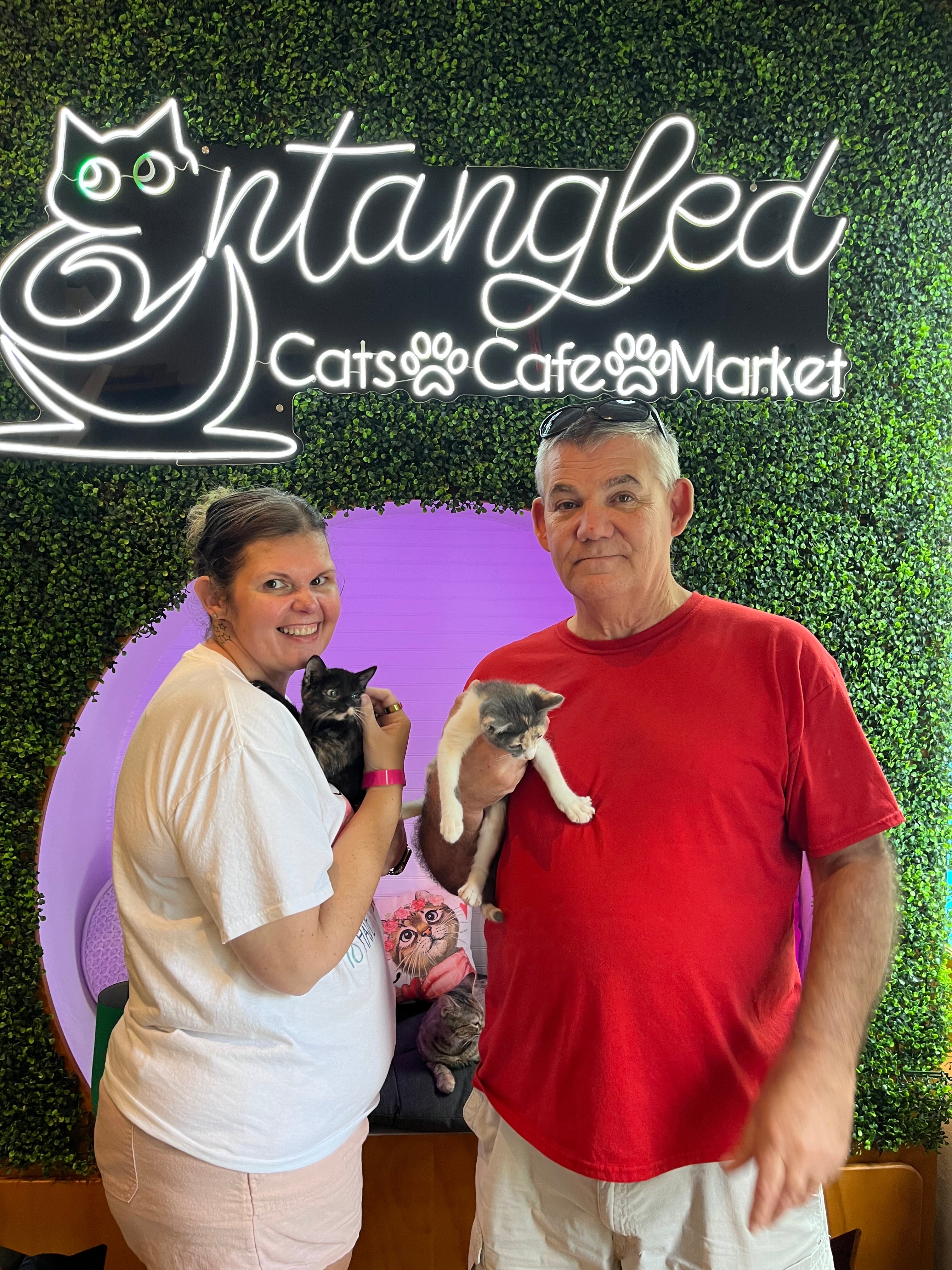 Junie B – Entangled Cat Cafe