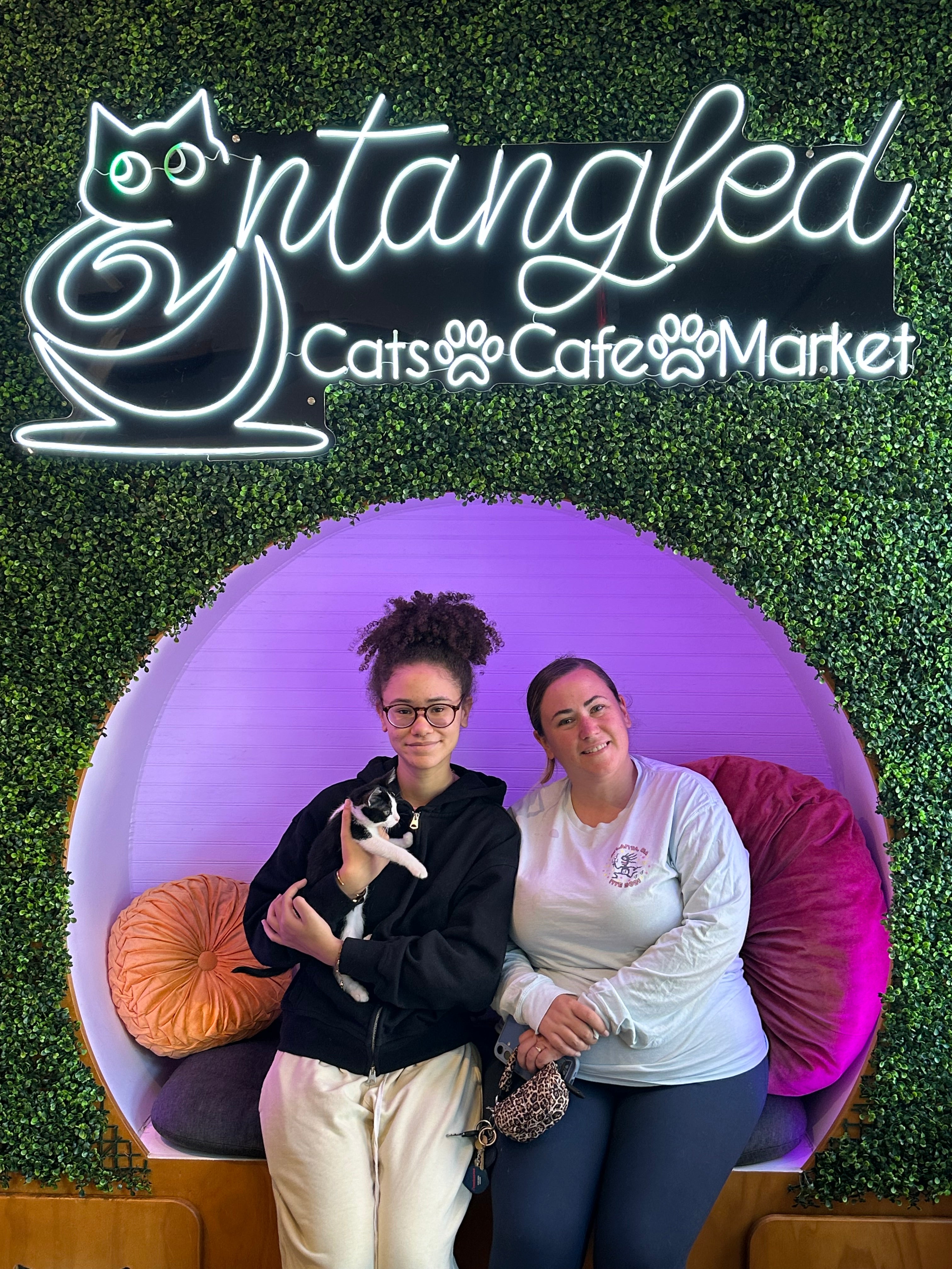 Mew – Entangled Cat Cafe