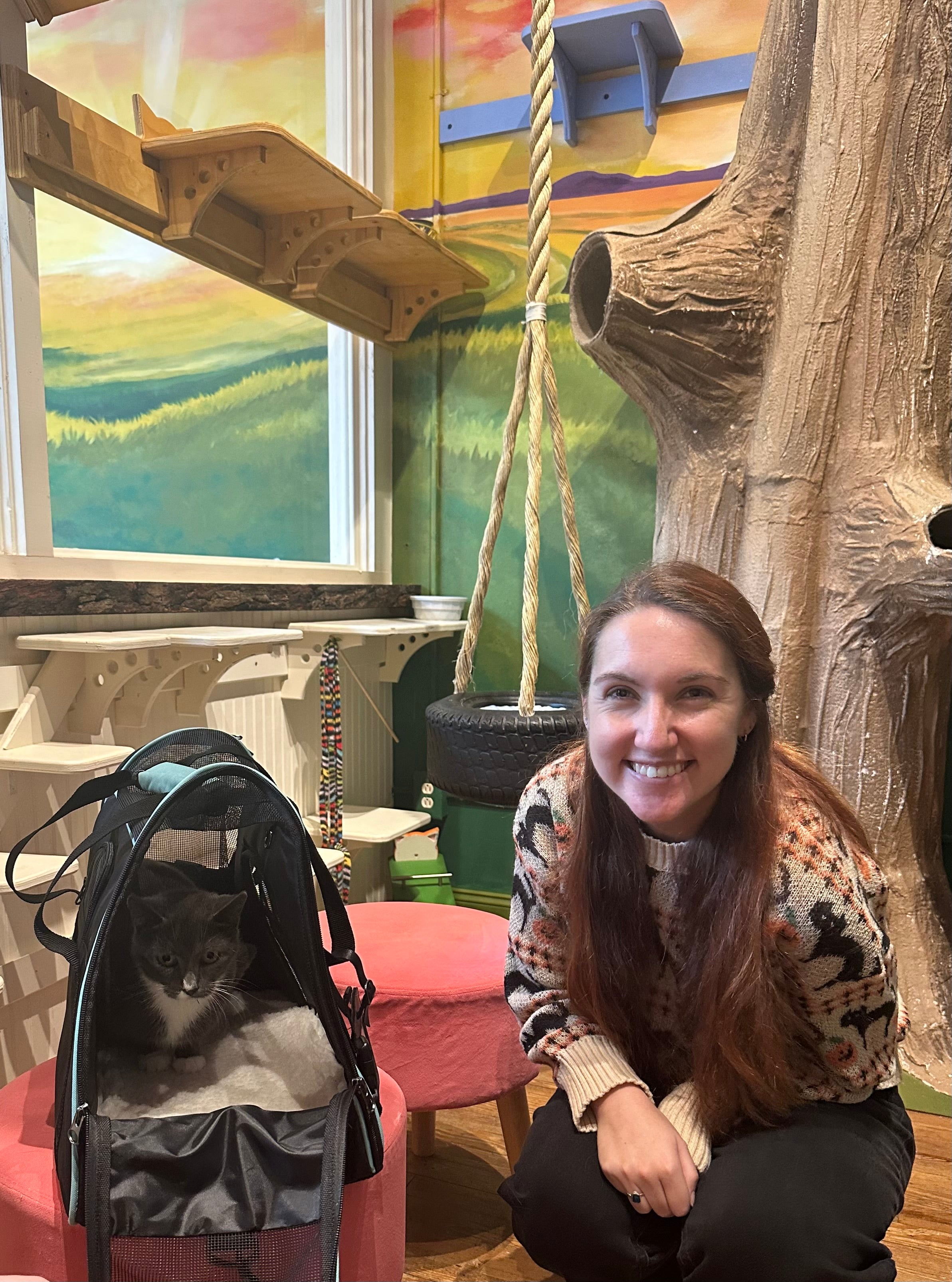 Mitsy – Entangled Cat Cafe