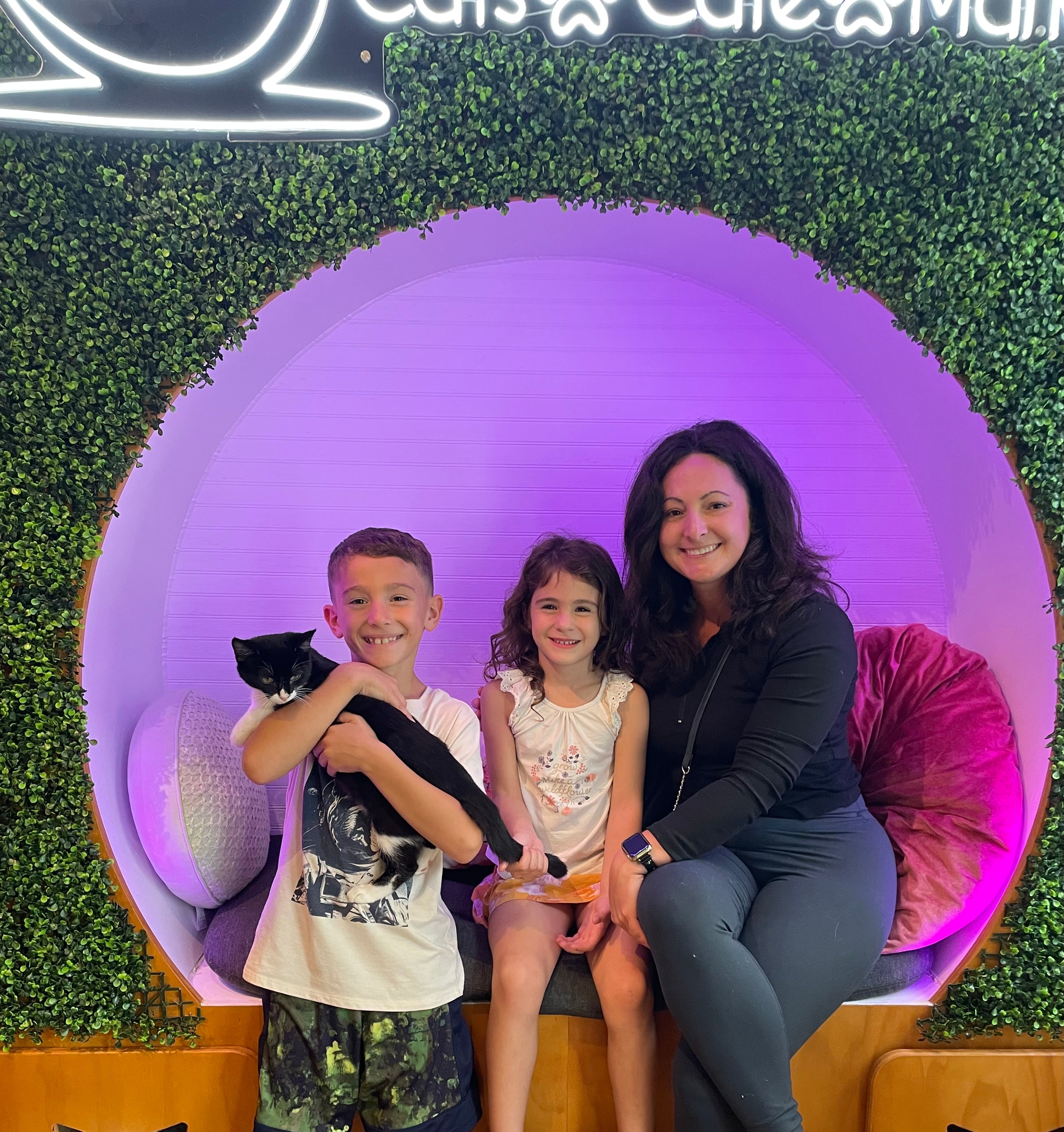 Pip II – Entangled Cat Cafe
