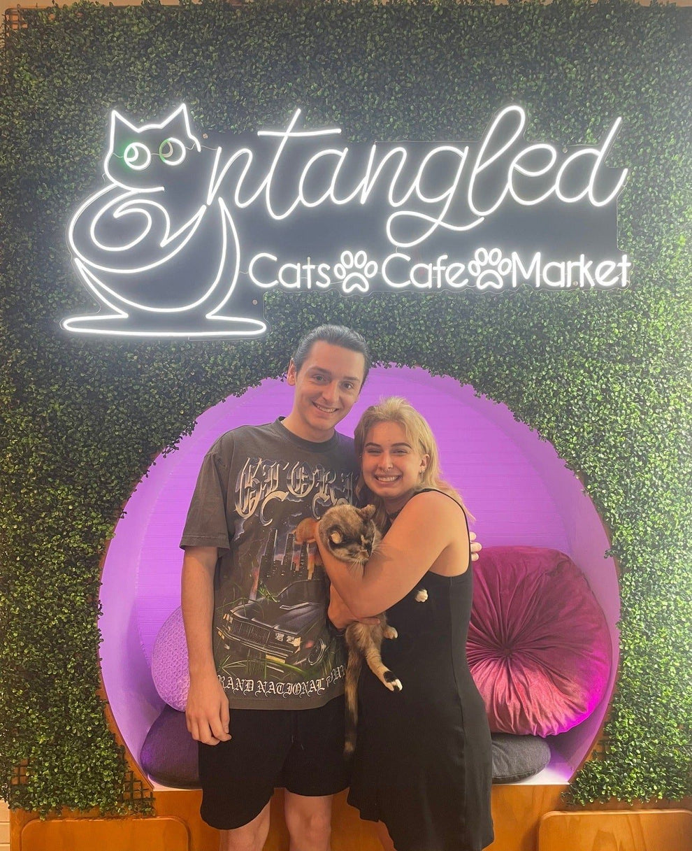 Possum Face – Entangled Cat Cafe