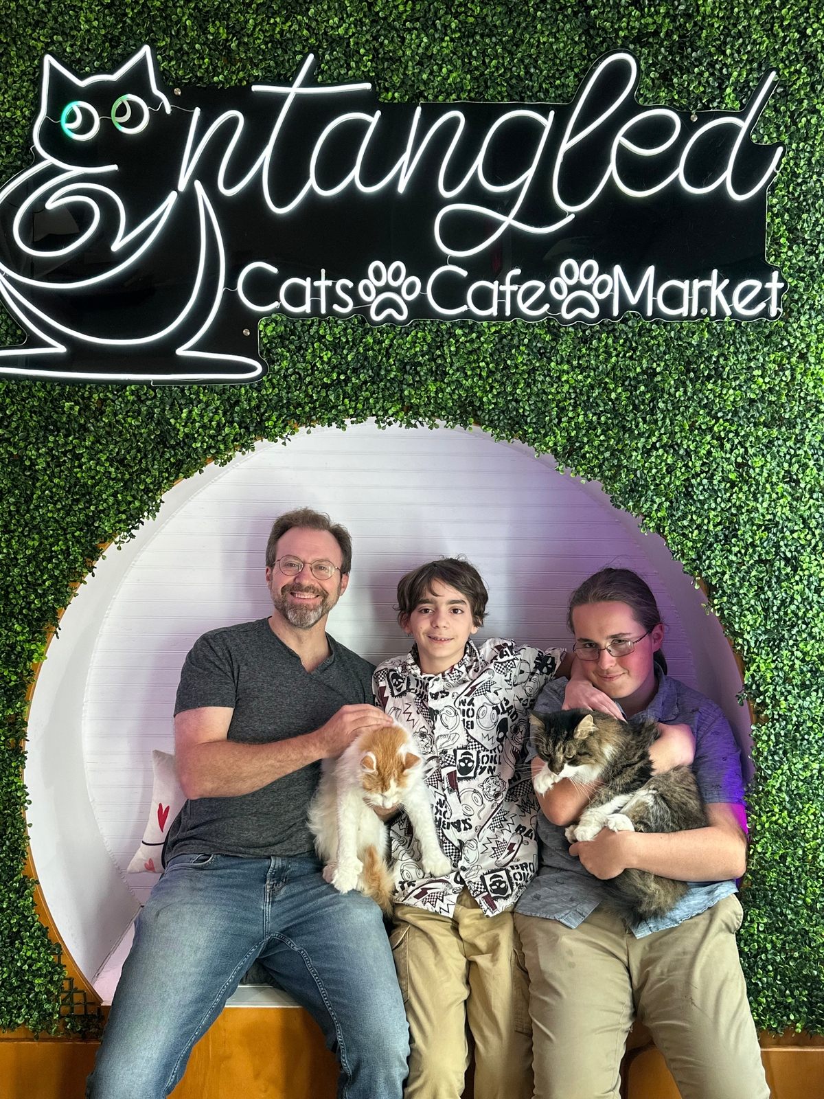 Pren – Entangled Cat Cafe