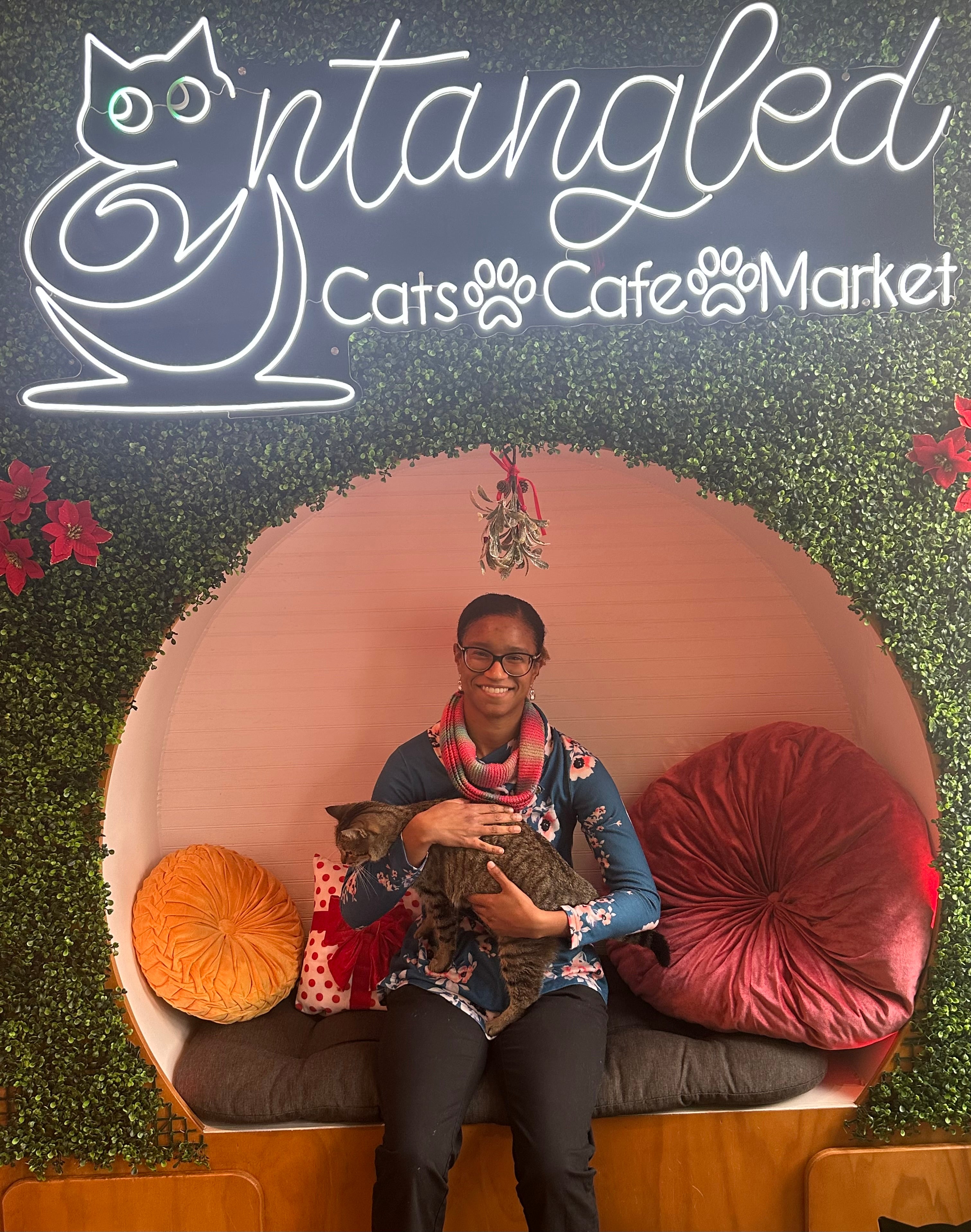 Rumble – Entangled Cat Cafe