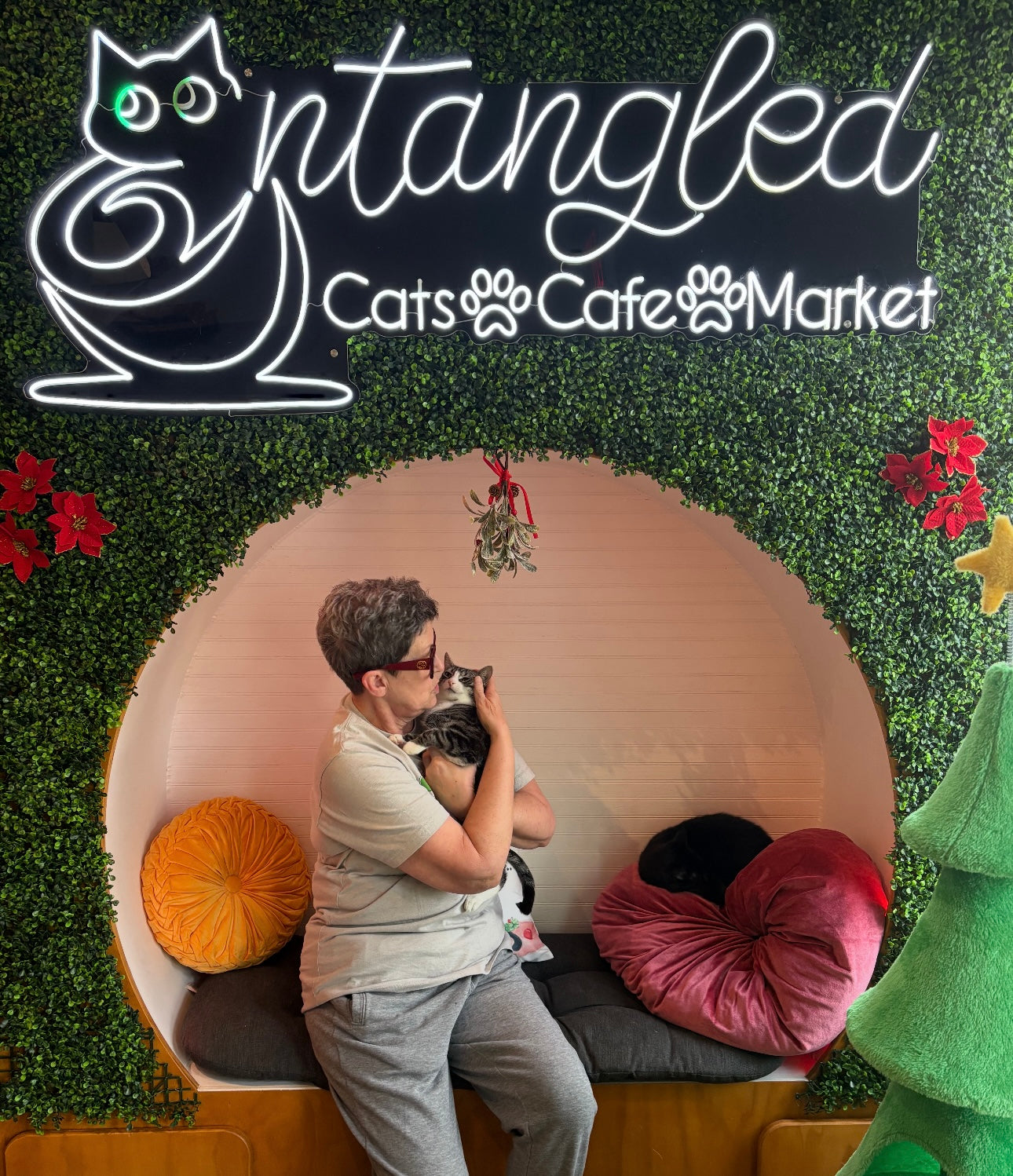 Zavy – Entangled Cat Cafe